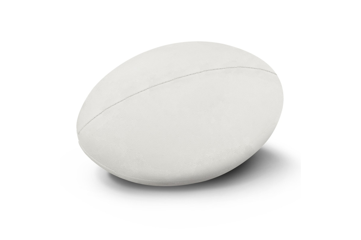 Touch Rugby Ball Pro
