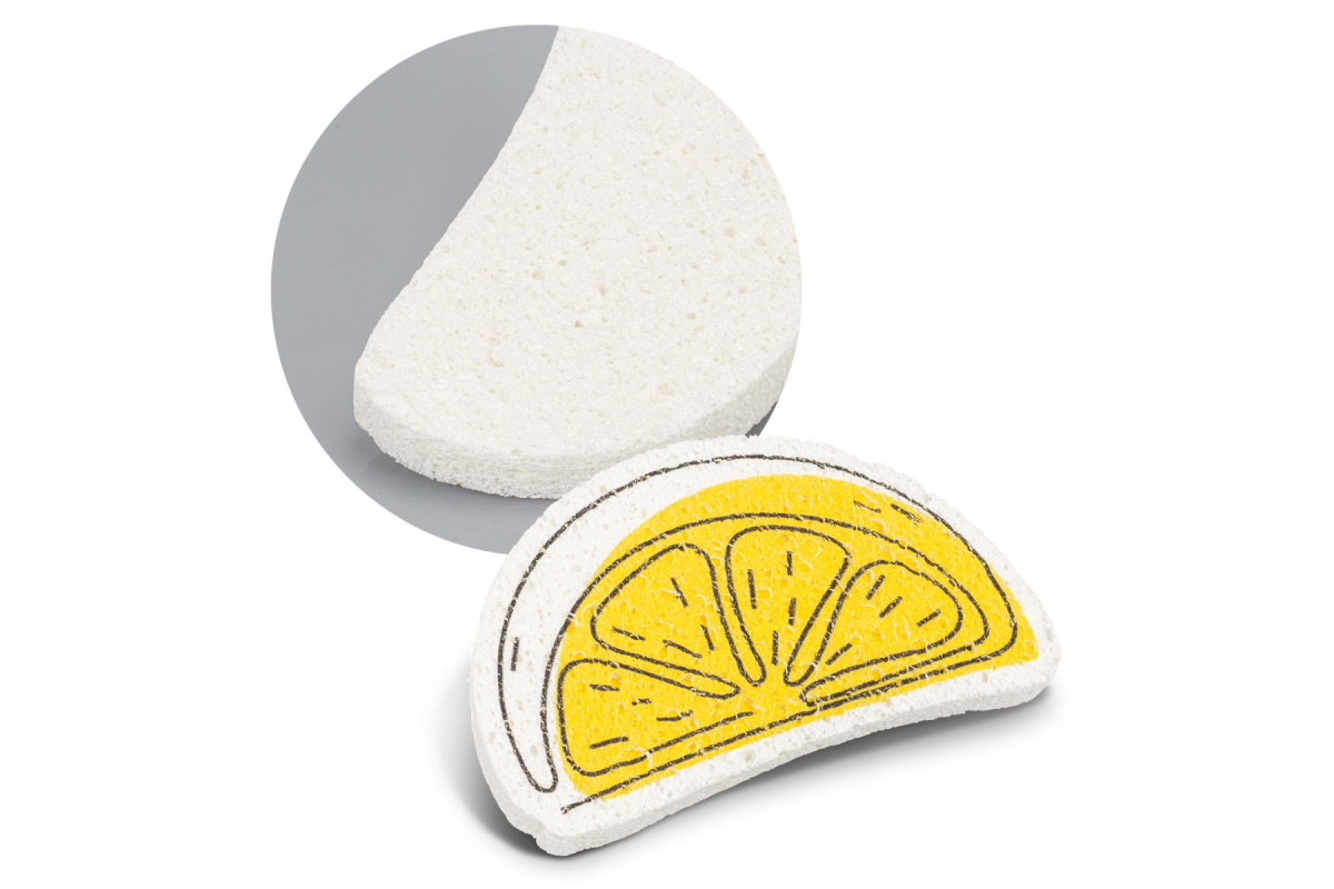 Expandable Sponge